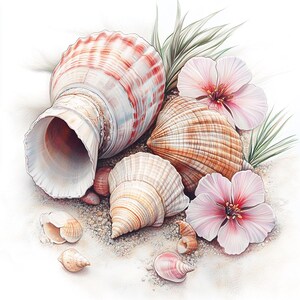 Sea Shells Flowers Beach Sand Clipart Bundle, 16 High-quality JPG, Card ...