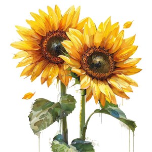 16 Beautiful Sunflower Flower Clipart Bundle, 16 High-quality JPG ...