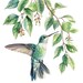 16 Hummingbird and Tree Clipart Bundle, 16 High-quality JPG, Craft Art ...