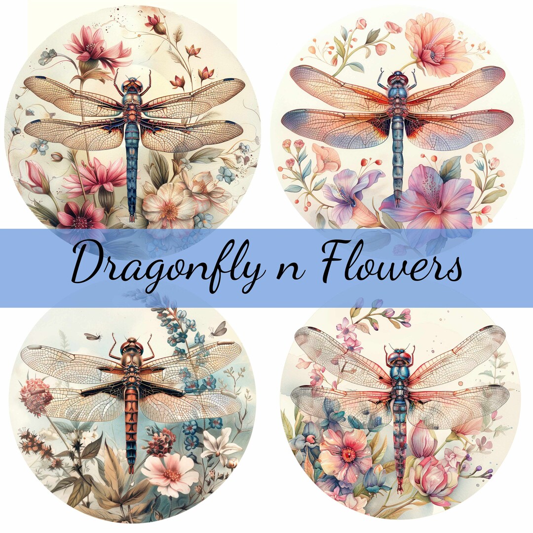 16 Vintage Dragonfly Circle Round Clipart Bundle, 16 High-quality JPG ...