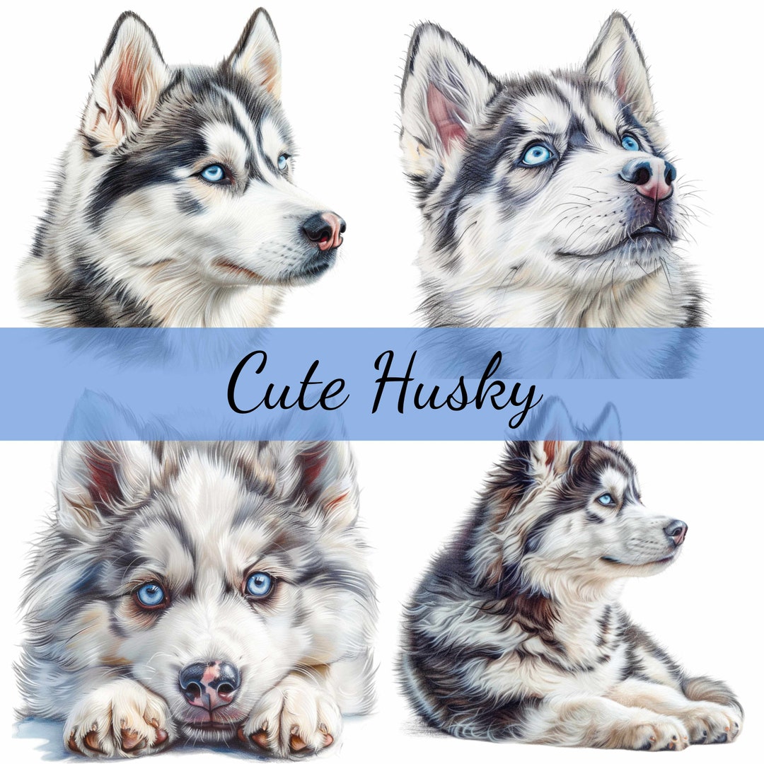 16 Cute Husky Clipart Bundle, 16 High-quality JPG, Craft Art, Card ...