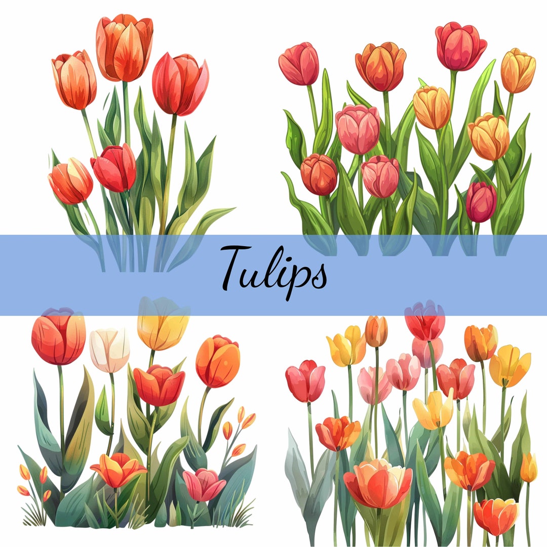 16 Tulip Flowers in a Row Clipart Bundle, 16 High-quality JPG, Craft ...