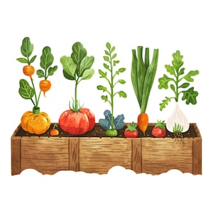 16 Vegetable Garden Clipart Bundle, 16 High-quality JPG, Craft Art ...
