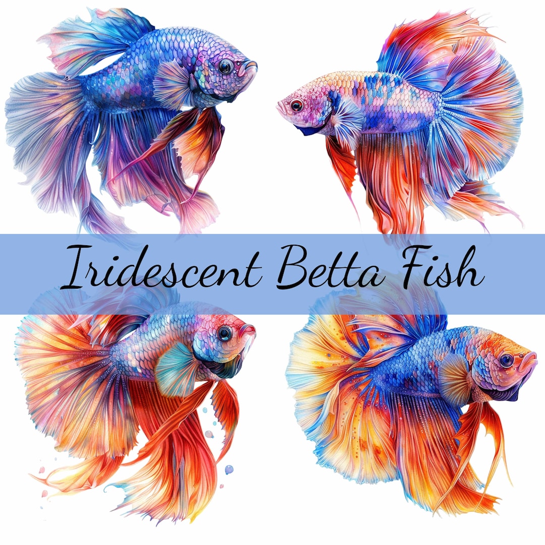 16 Iridescent Betta Fish Clipart Bundle, 16 High-quality JPG, Craft Art ...