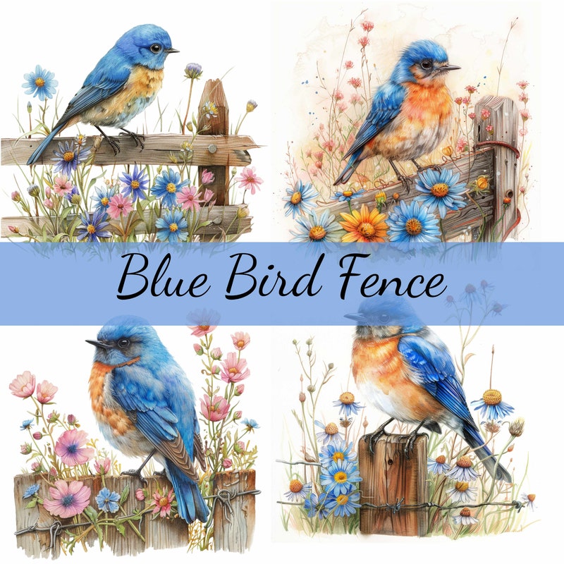 Bluebird Print - Etsy