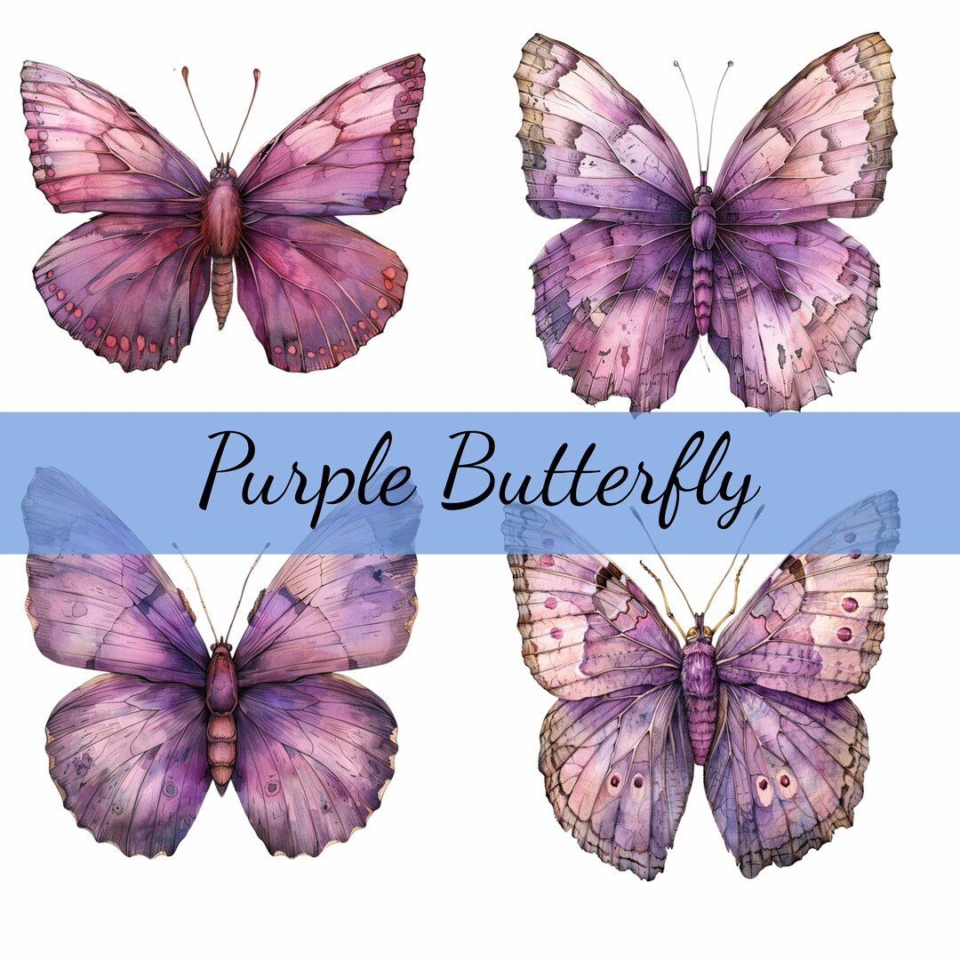 16 Purple Butterfly Clipart Bundle, 16 High-quality JPG, Craft Art ...