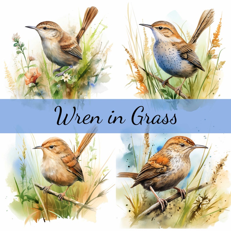 Wren Bird in Grass Clipart Bundle, High-quality JPG, Craft Art, Card ...