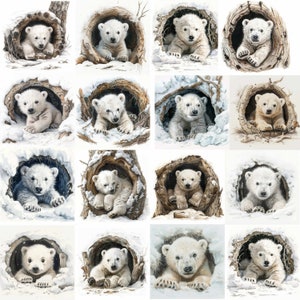 Polar Bear in Snow Den Clipart Bundle, 16 High-quality JPG, Craft Art ...