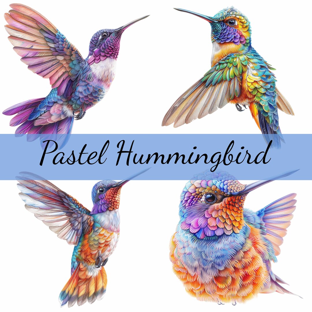 14 Iridescent Pastel Hummingbird Clipart Bundle, 14 High-quality JPG ...