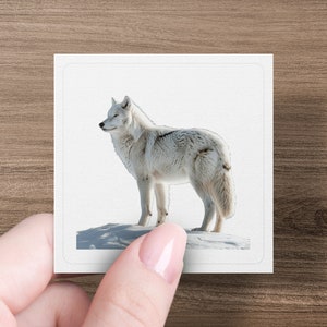 Arctic Wolf White Wolf Clipart Bundle, 15 High-quality JPG, Craft Art ...
