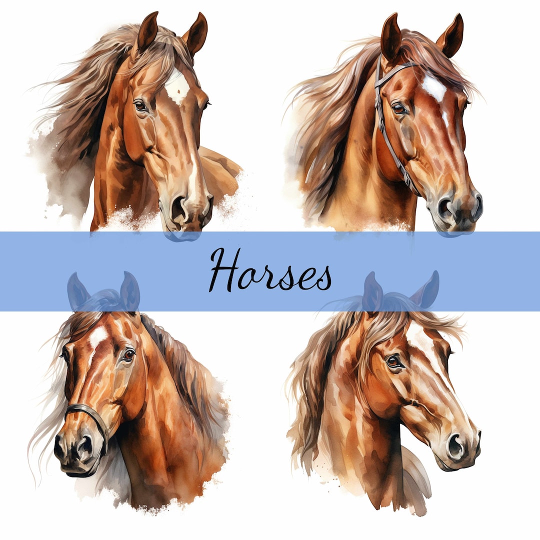 16 Horse Heads 2 Clipart Bundle, High-quality JPG, Craft Art, Card ...