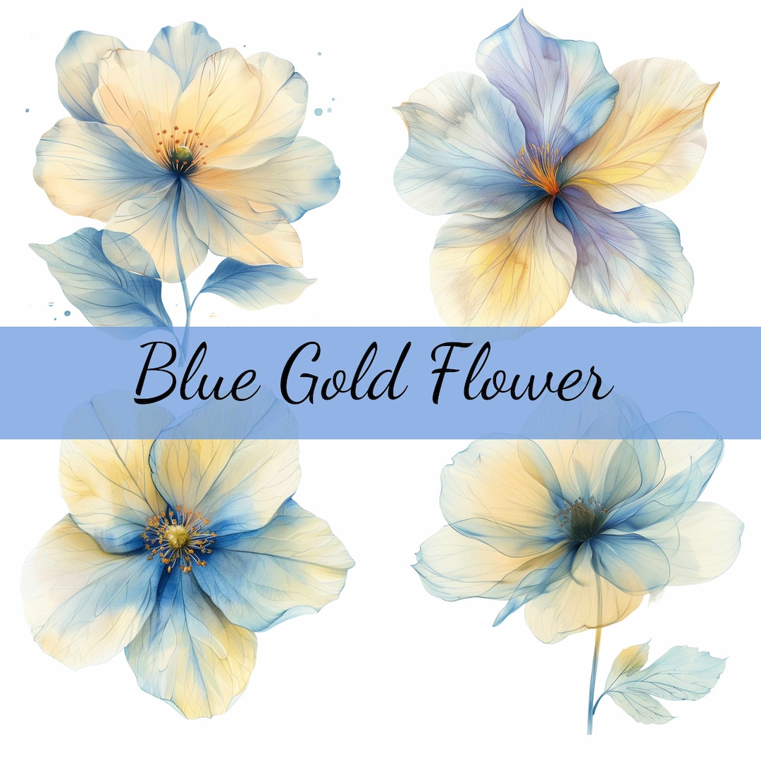 Gold and Blue Abstract Flower Clipart Bundle, 16 High-quality JPG ...