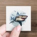 Shark in Water Clipart Bundle, High-quality JPG, Craft Art, Card Making ...