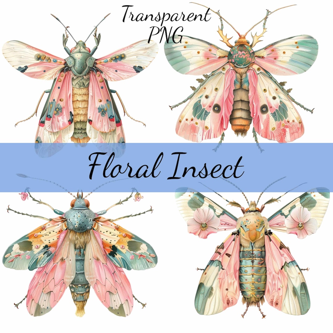 16 Floral Insect Bug Clipart Bundle, 16 Transparent PNG Download, Card ...
