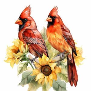 14 Cardinal Friends Flowers Clipart Bundle, High-quality JPG ...