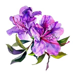 Azalea Flower Mix Clipart Bundle, 15 High-quality JPG, Craft Art, Card ...