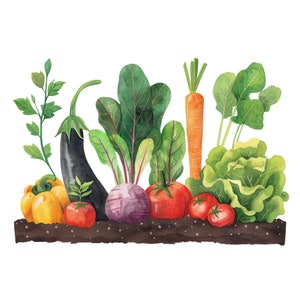 16 Vegetable Garden Clipart Bundle, 16 High-quality JPG, Craft Art ...