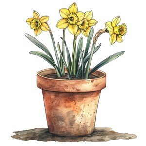 Daffodil in Flower Pot Clipart Bundle, 16 High-quality JPG, Craft Art ...