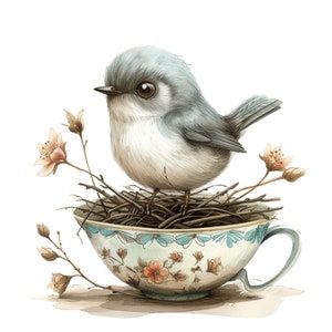 16 Cute Bird in a Tea Cup Nest Clipart Bundle, 16 High-quality JPG ...