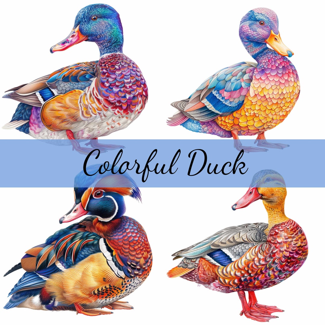 Colorful Duck Clipart Bundle, 15high-quality JPG, Craft Art, Card ...