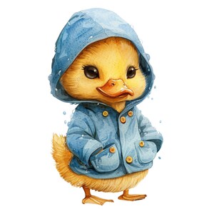 Cute Duck in a Raincoat Clipart Bundle, 16 High-quality JPG, Craft Art ...