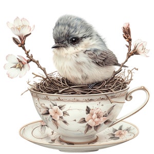 16 Cute Bird in a Tea Cup Nest Clipart Bundle, 16 High-quality JPG ...