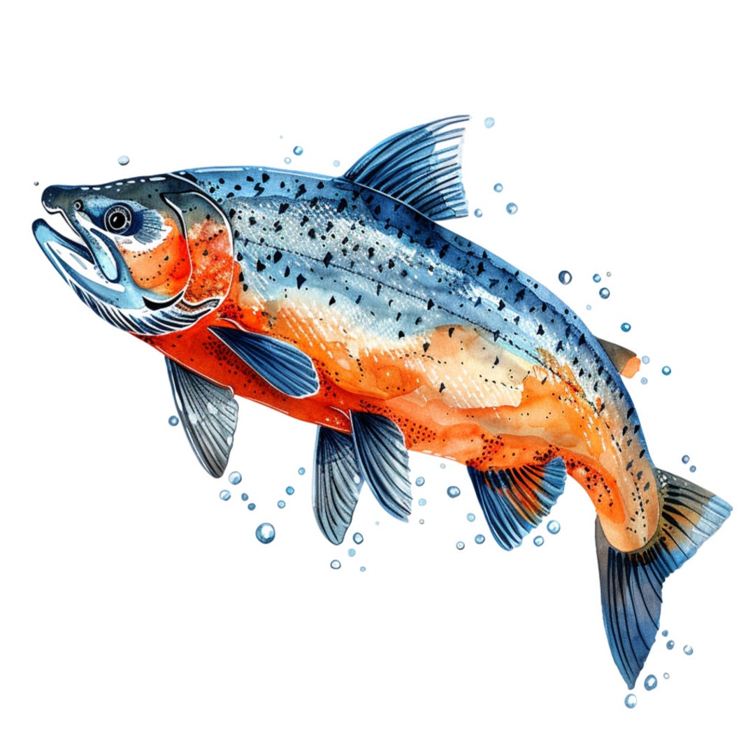 16 Salmon Fish Swimming Clipart Bundle, 16 High-quality JPG, Craft Art ...