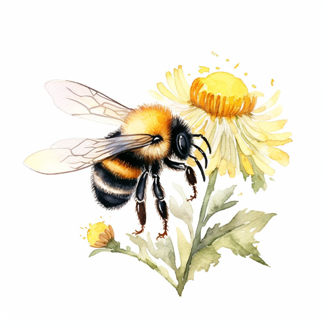 Bumblebee on Flower Clipart Bundle, High-quality JPG, Craft Art, Card ...