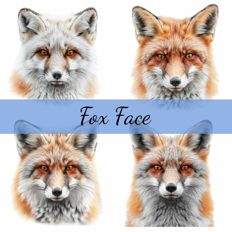 Serious Fox Head Clipart Bundle, 15 High-quality JPG, Craft Art, Card ...