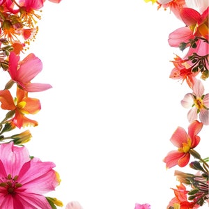 Spring Flower Page Frame Clipart Bundle, 16 High-quality JPG, Craft Art ...