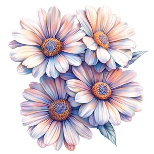 Pastel Cottage Daisy Flowers Clipart Bundle, 16 JPG and Transparent PNG ...