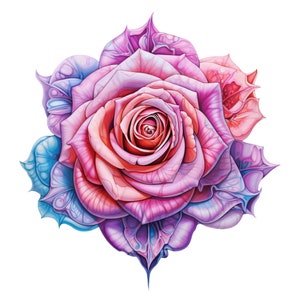 Singe Cosmic Rose Flower Clipart Bundle, High-quality JPG, Craft Art ...