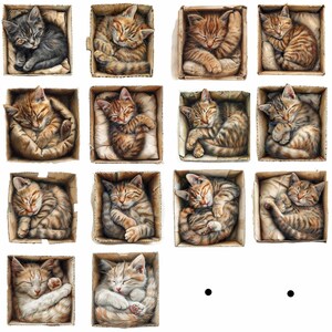 Cat Sleeping in a Box Clipart Bundle, 14 High-quality JPG, Craft Art, Card Making, Clip Art ...