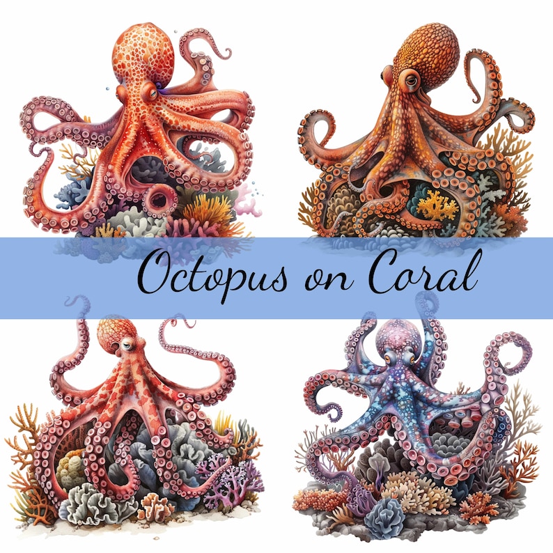 Octopus on Ocean Coral Clipart Bundle, 16 High-quality JPG, Craft Art ...