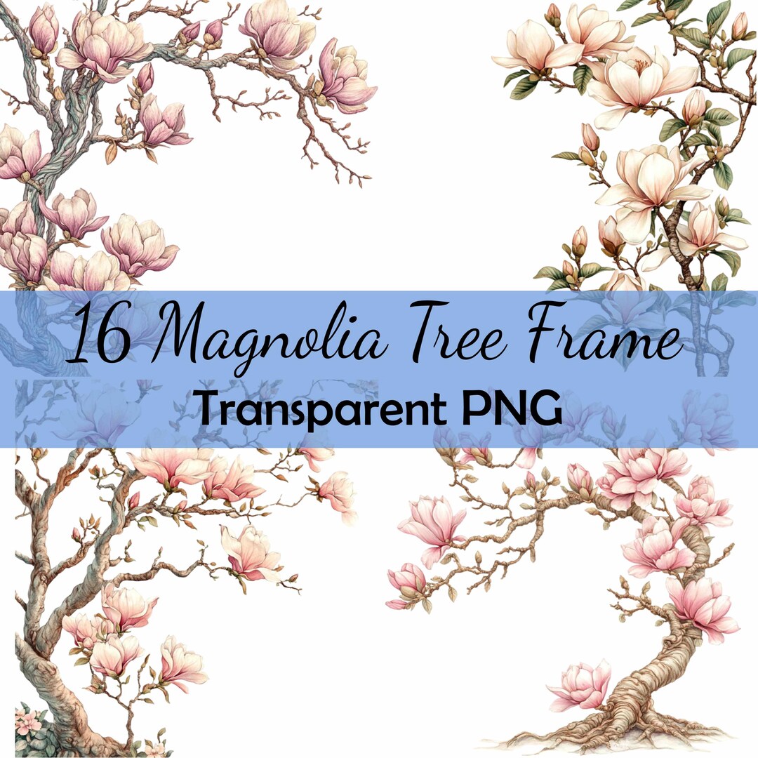 16 Magnolia Tree Flower Border Frame Corner Clipart Bundle 16 ...