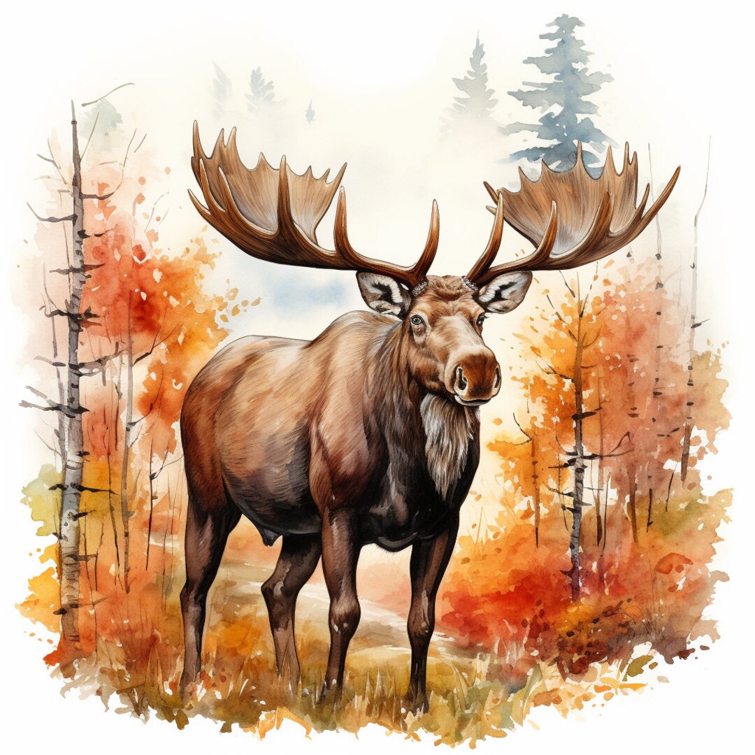 10 Moose in Woods Clipart Bundle, High-quality JPG, Invitations, Card ...