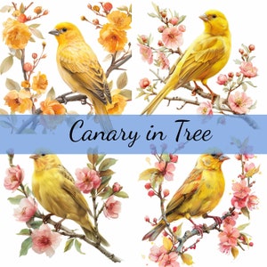 Canary in A Tree Pink Flowers Clipart Bundle, 15 High-quality JPG ...