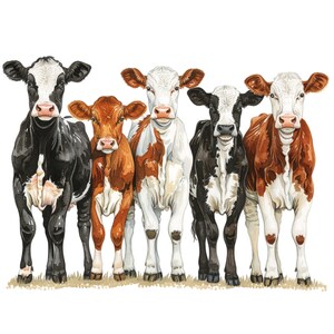 Cute Cows in A Line Clipart Bundle, 16 High-quality JPG, Craft Art ...