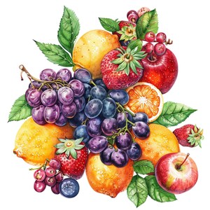 Fruit Bunch Pile Clipart Bundle, 15 High-quality JPG, Craft Art, Card ...