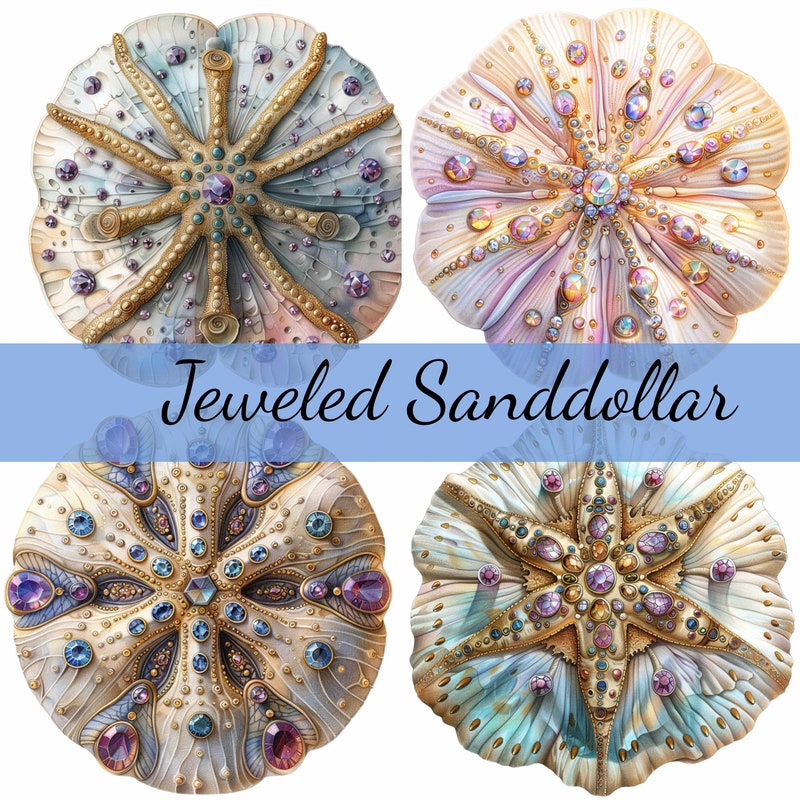 Sand Dollar Clip Art - Etsy