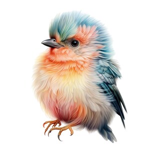 15 Puffy Fluffy Rainbow Birds Clipart Bundle, High-quality JPG, Craft ...