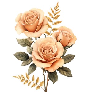 Peach Roses With Gold Clipart Bundle, 16 JPG and Transparent PNG ...
