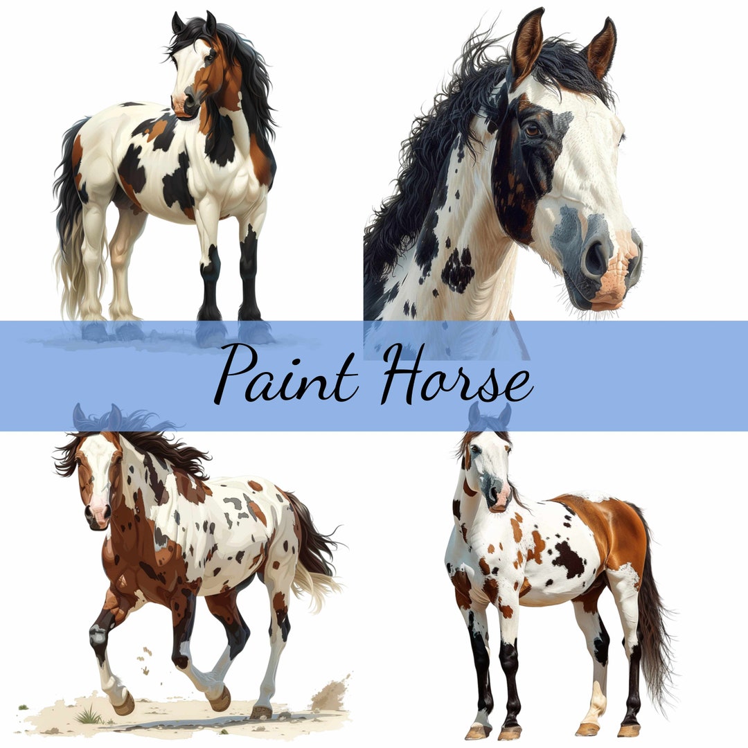 16 Paint Horse Clipart Bundle, 16 High-quality JPG, Craft Art, Card ...