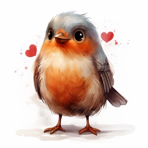 16 Valentine Robin Bird Clipart Bundle, High-quality JPG, Craft Art ...