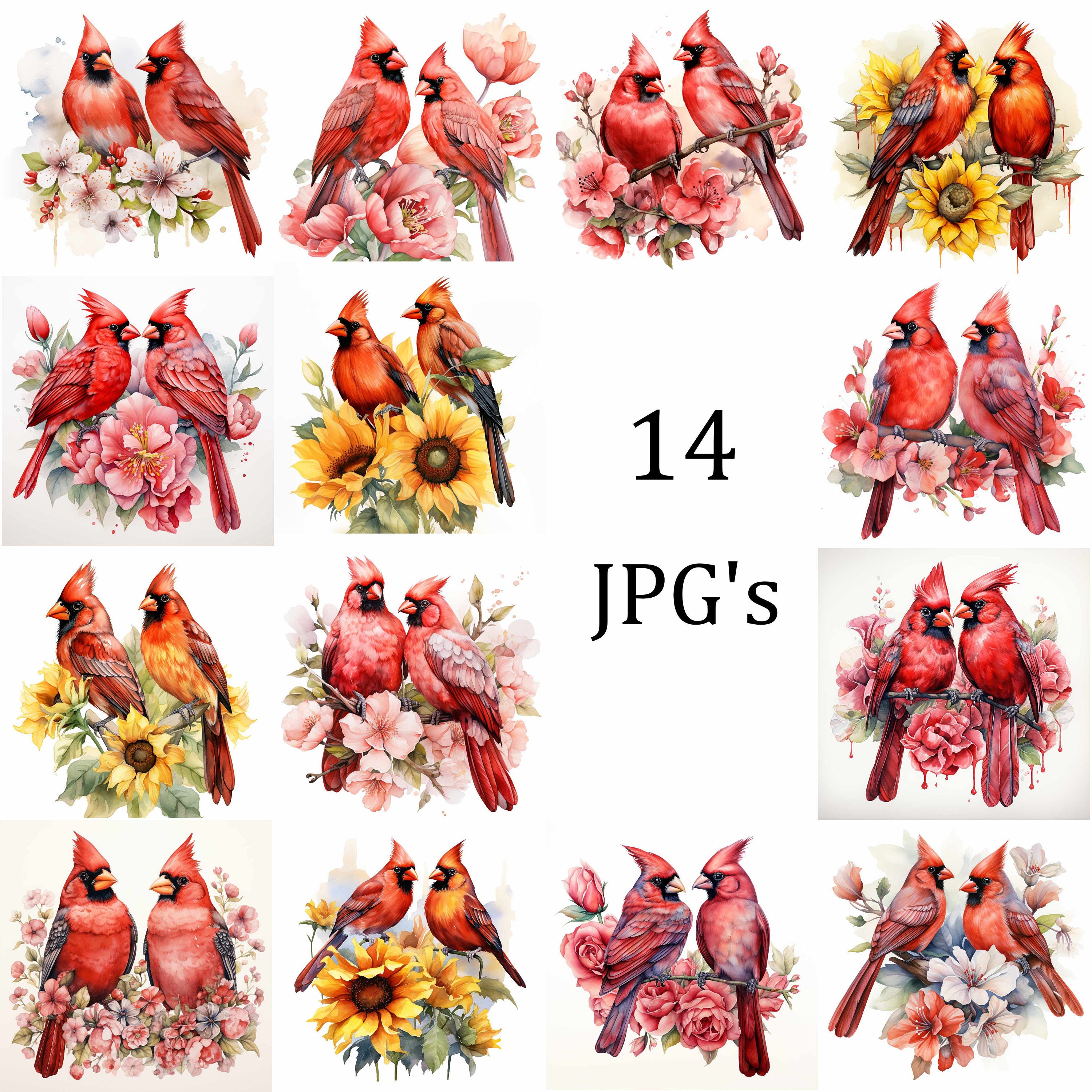 14 Cardinal Friends Flowers Clipart Bundle, High-quality JPG ...