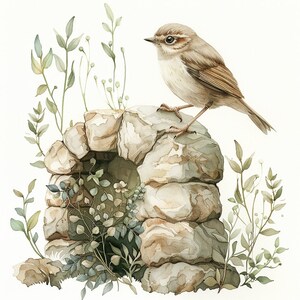 16 Bird Under Stone Arch View Clipart Bundle, 16 High-quality JPG ...