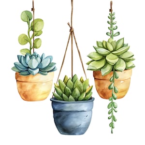 Succulents in Hanging Pots Clipart Bundle, 16 High-quality JPG, Craft ...