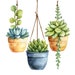 16 Succulents in Hanging Pots Clipart Bundle, 16 High-quality JPG ...