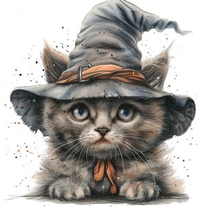 Cat With a Witch Hat Clipart Bundle, 16 High-quality JPG, Craft Art ...