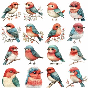 Red Teal Blue Bird Clipart Bundle, 16 High-quality JPG, Craft Art, Card ...
